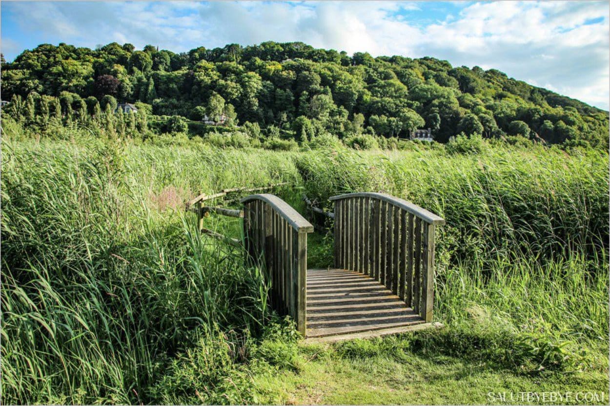 Le Jardin Des Personnalit s Honfleur Un Lieu Magique